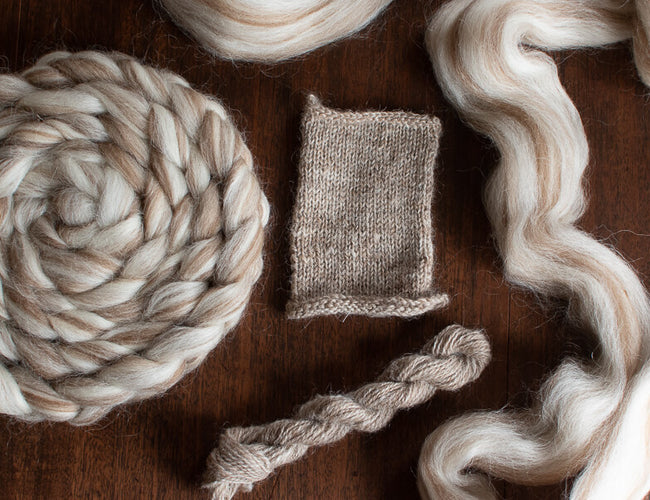 Wool tops – hand-dyed spinning fibre – Marina Skua
